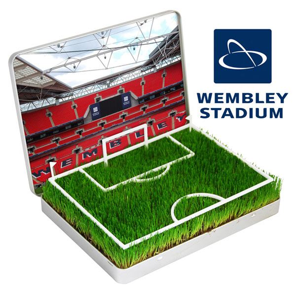 Grow Your Own Mini Football Pitch Wembley - Dealley