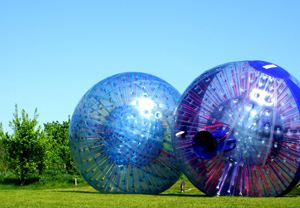 Harness Zorbing for Two - Dealley