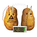 Novelty Potato Powered Clock - Dealley